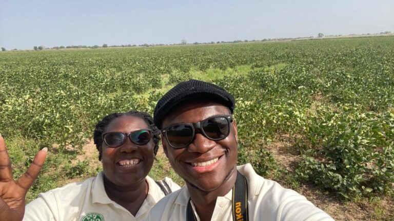 Maxwell Investments Group – Agro Trading, News, Articles and More