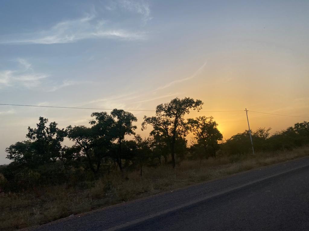 Maxwell Investments Group – Agro Trading, News, Articles and More