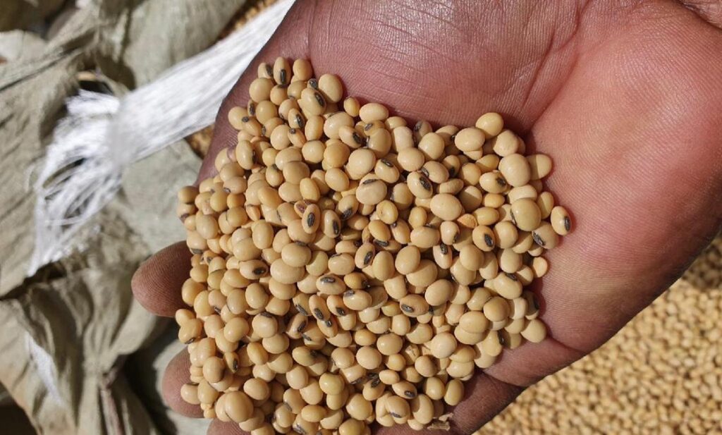 Maxwell Investments Group – Agro Trading, News, Articles and More